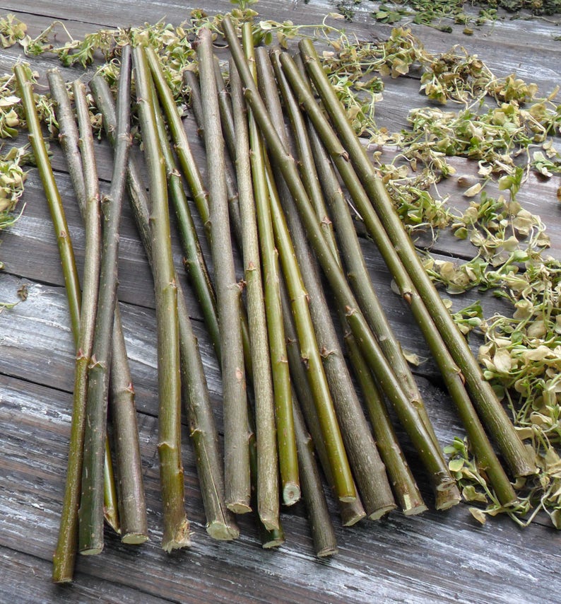 Willow Sticks Set of 20 Pcs 12 Long Dry Branches - Etsy