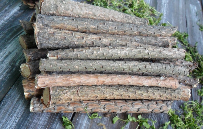 20 Pine Sticks 7 for Craft Pine Wand Wood Pine Tree Wood | Etsy