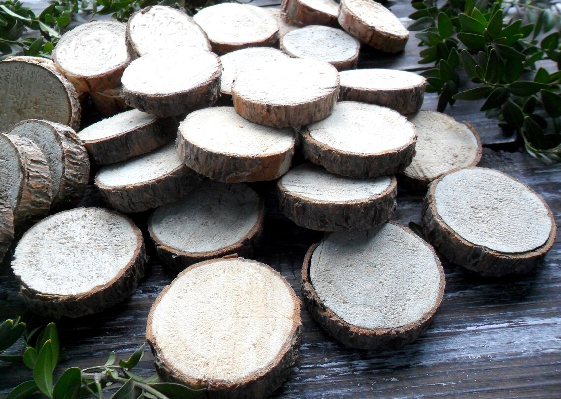 2 Small Wood Slices for Crafts Tree Slices Branch Slices | Etsy