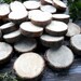 2 Small Wood Slices for Crafts Tree Slices Branch Slices - Etsy