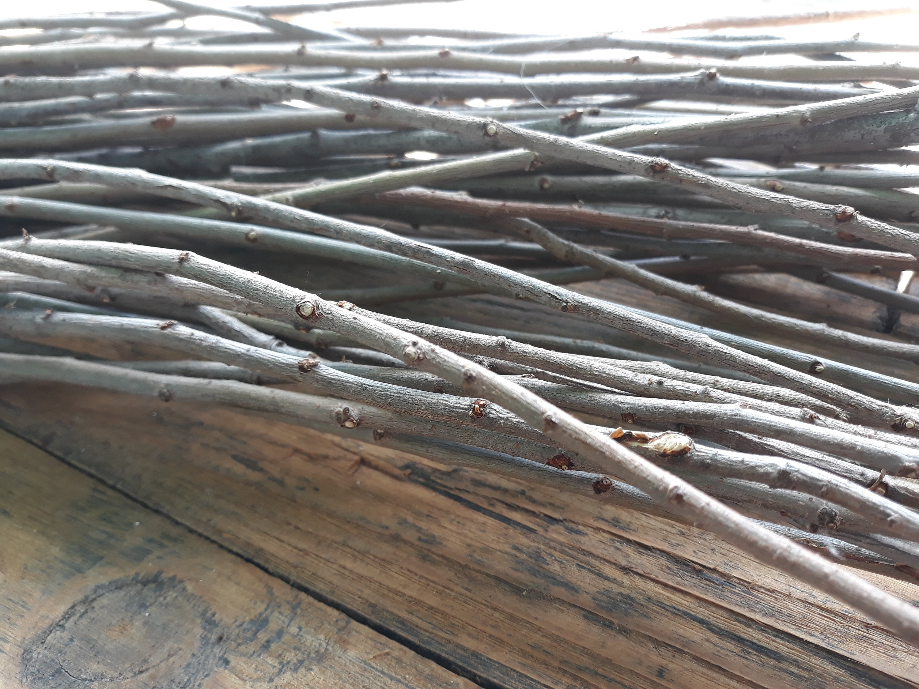 24 Extra-long Brown Twigs Willow Bundle Eco Friendly - Etsy Ireland