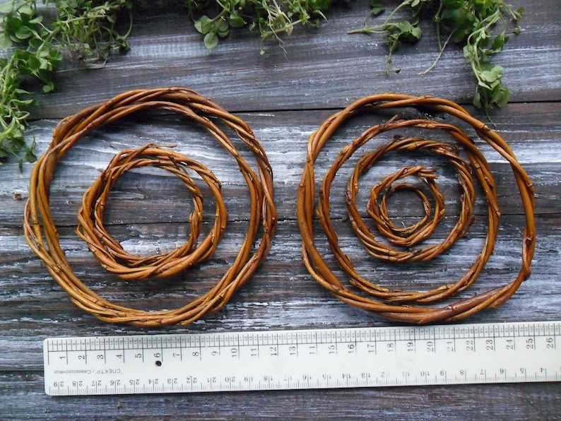 10 Rings of Willow Branches 2 6 Natural Willow - Etsy