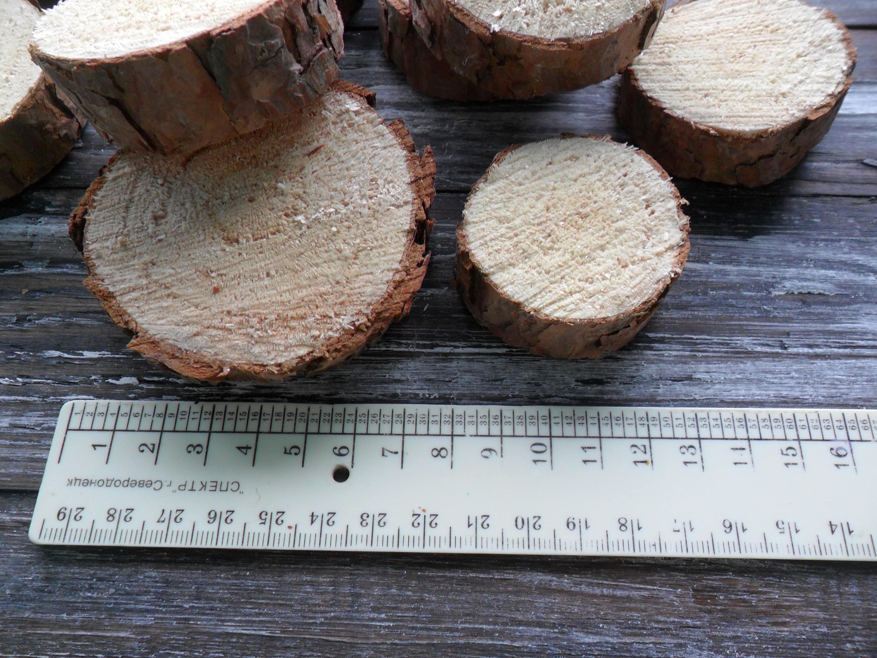13 Natural Wood Slices DIY Wooden Craft Wood Slices Circles - Etsy