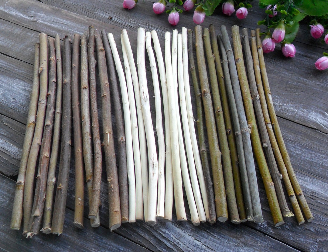 Wood Sticks 10 Mix of Wood Dried Twigs Cuts Pieces Twigs Bundle Twig ...