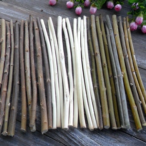 Twig Bundle - Etsy