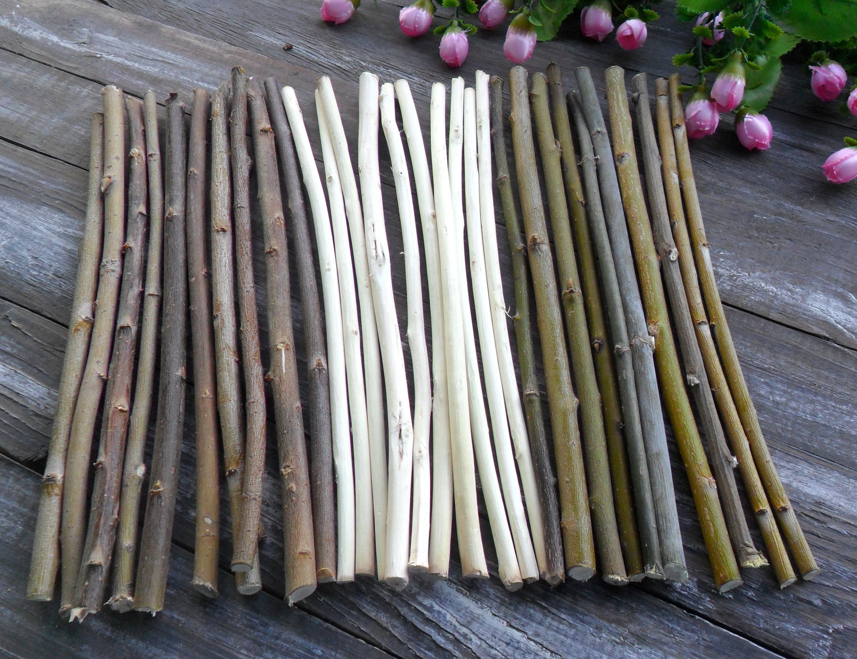 Wood sticks 10 Mix of wood dried Twigs cuts pieces Twigs | Etsy