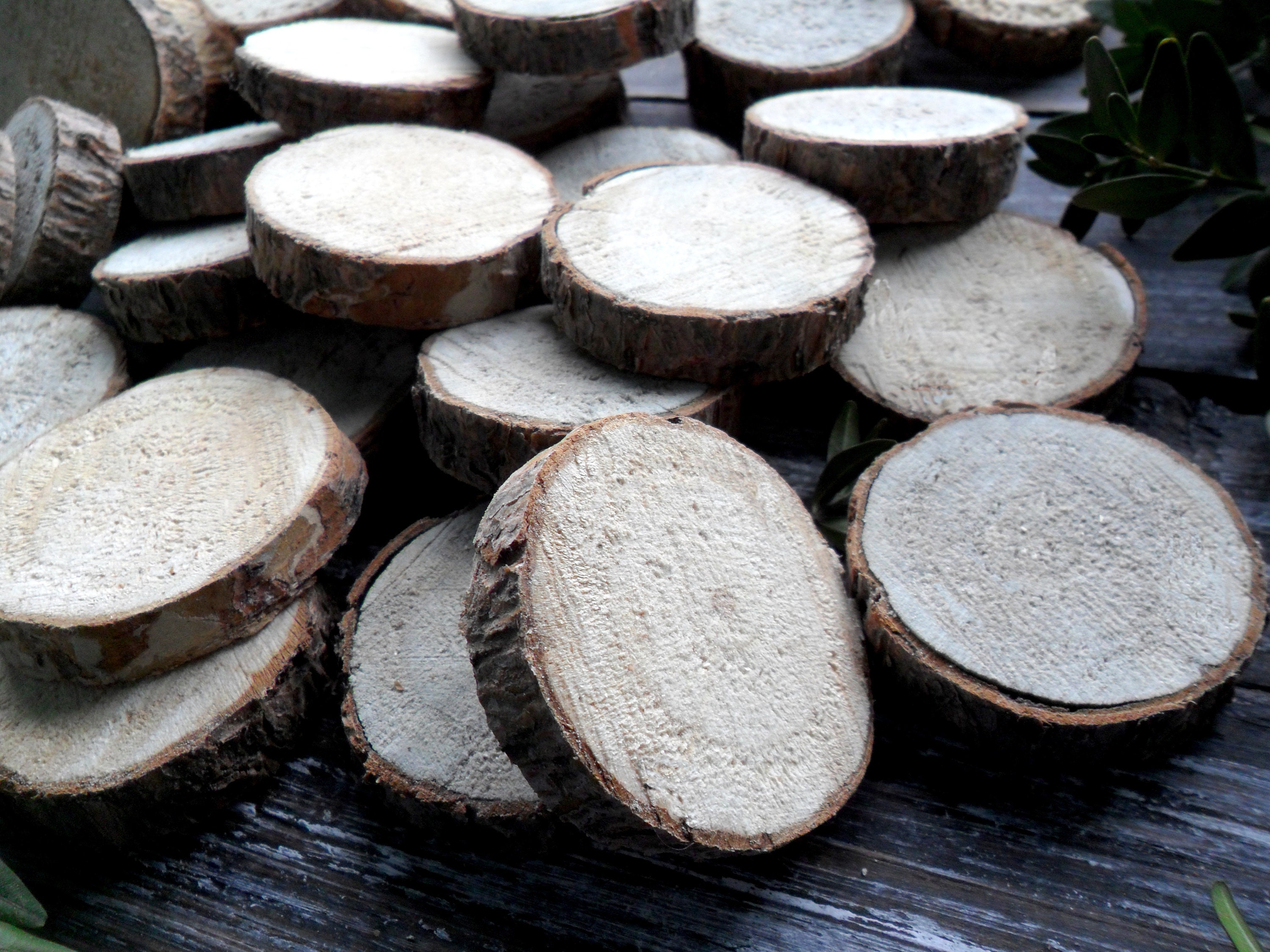 2 Small Wood Slices for Crafts Tree Slices Branch Slices - Etsy