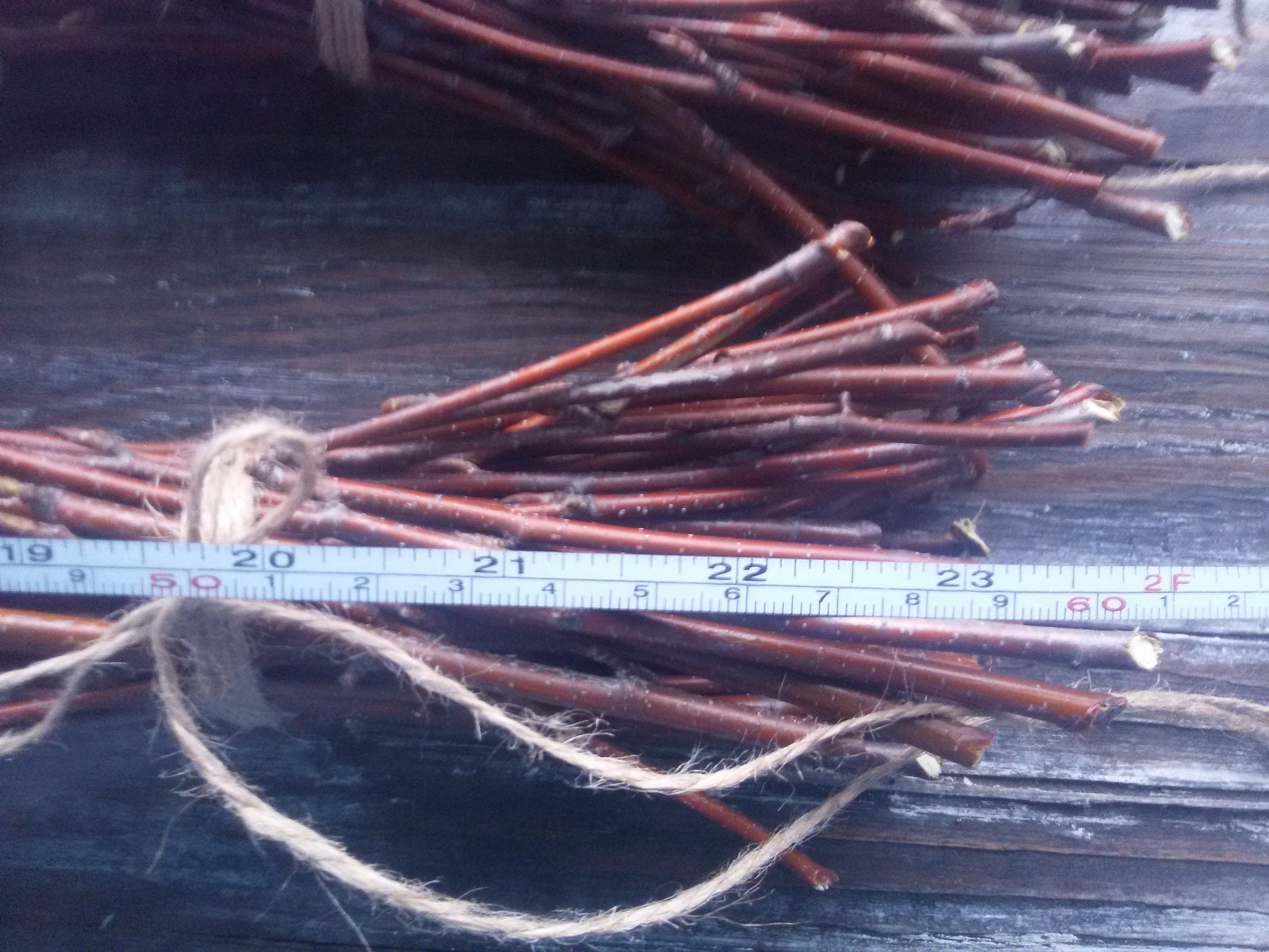 Decorative Birch branches Forest Birch twigs bundle Woodland | Etsy