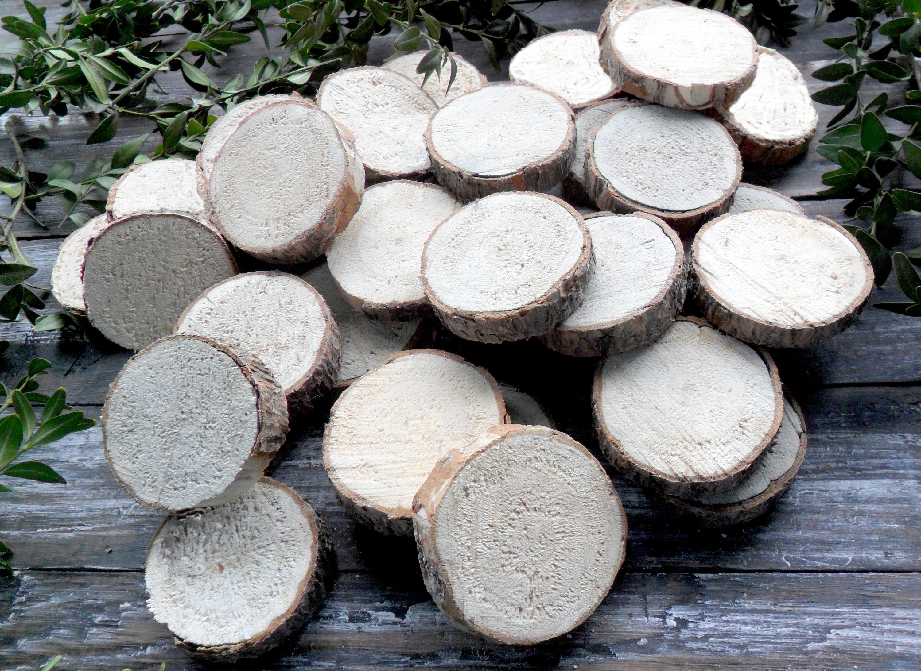 2 Small Wood Slices for Crafts Tree Slices Branch Slices - Etsy