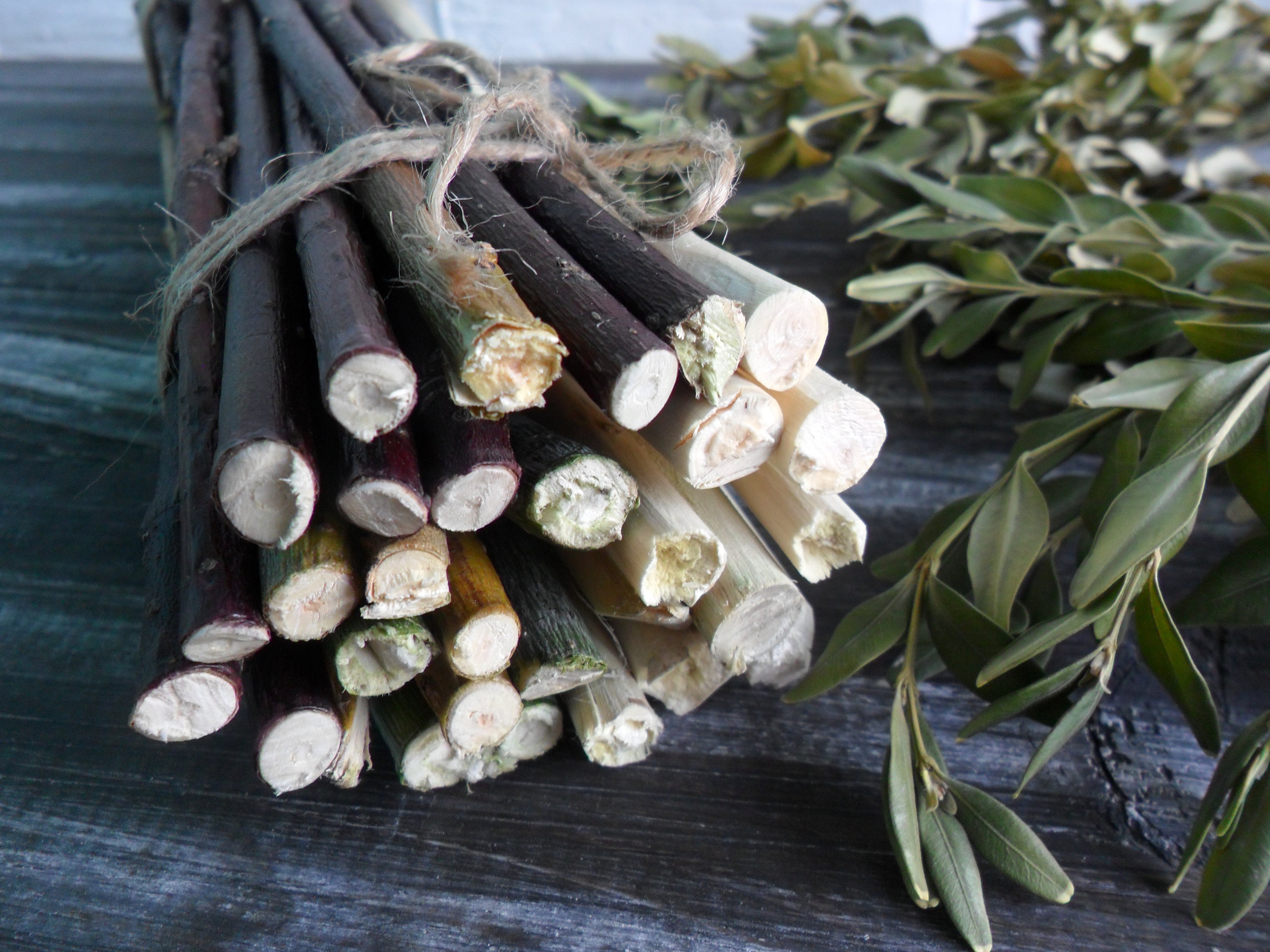 Wood Sticks 10 Mix of Wood Dried Twigs Cuts Pieces Twigs - Etsy