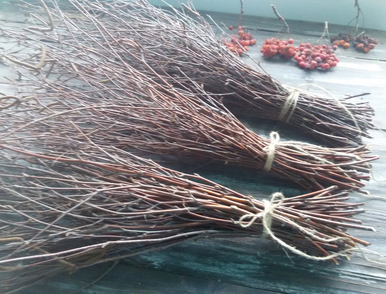 Decorative Birch branches Forest Birch twigs bundle Woodland | Etsy