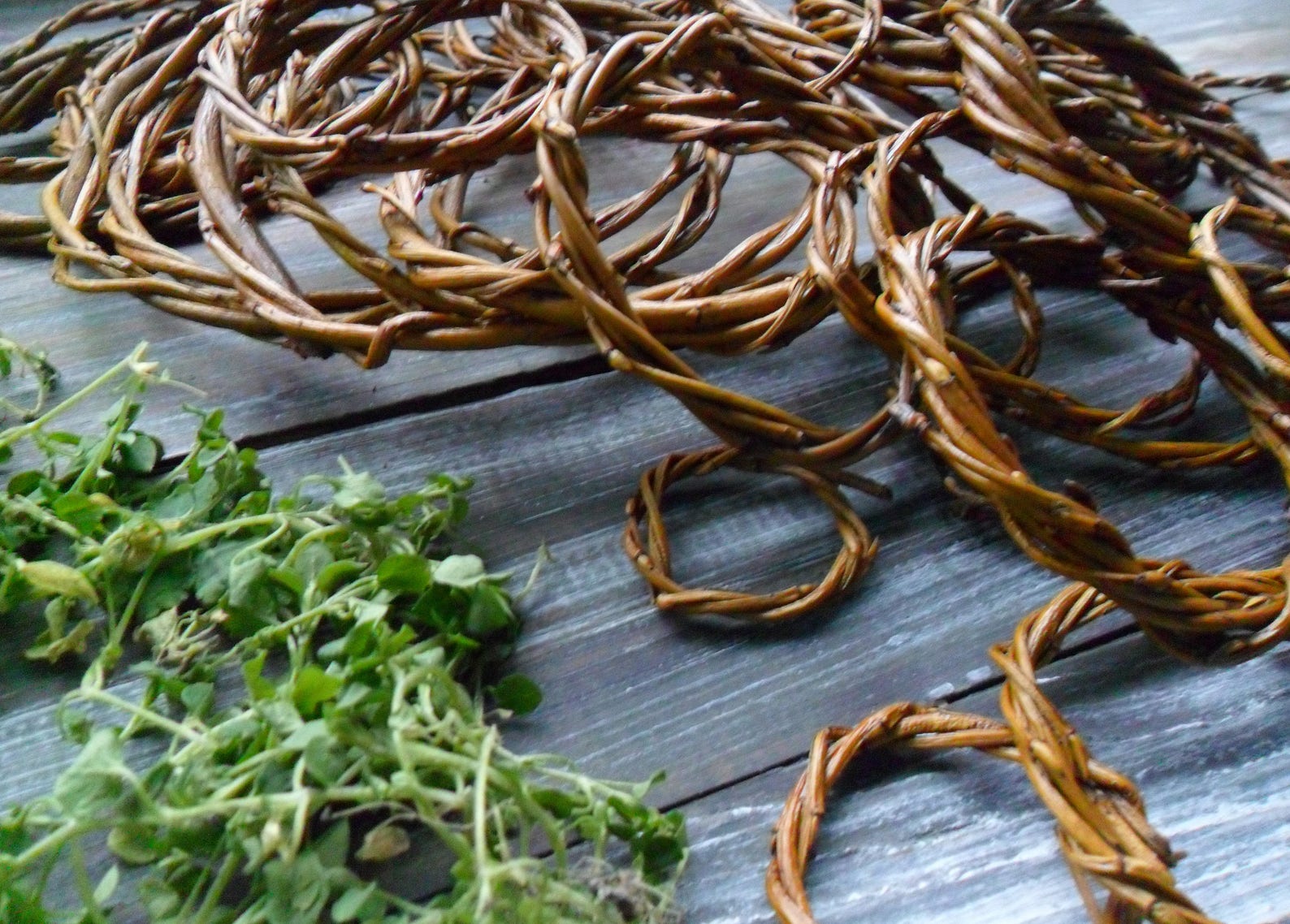 10 Rings of Willow Branches 2 6 Natural Willow | Etsy