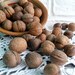 Small Walnuts for Crafts Whole Walnut Rustic Home Decor - Etsy