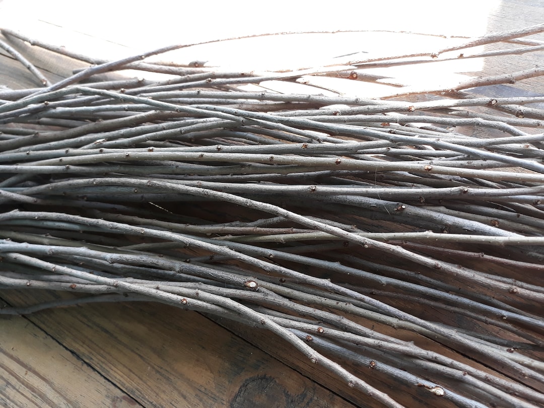 24 Extra-long Brown Twigs Willow Bundle Eco Friendly - Etsy