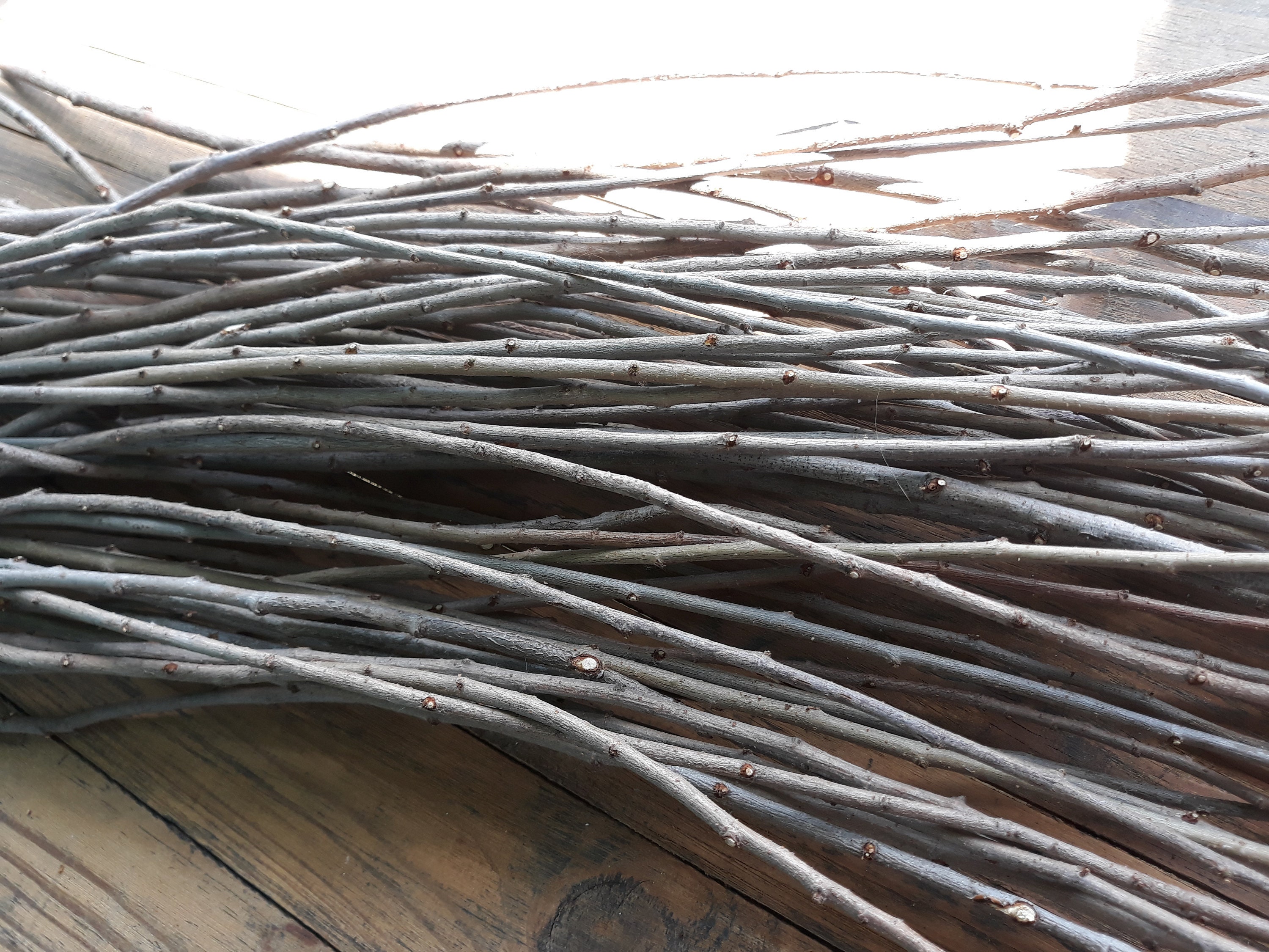 24 Extra-long Brown Twigs Willow Bundle Eco Friendly - Etsy Ireland