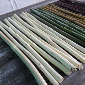 Wood Sticks 10" Mix of Wood Dried Twigs Cuts Pieces Twigs Bundle Twig ...