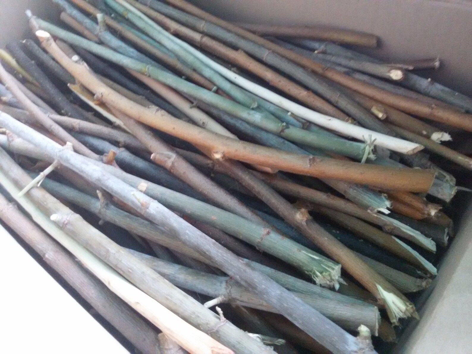 Rustic Design Interior Photo Props Tree Twigs Bundle Natural | Etsy