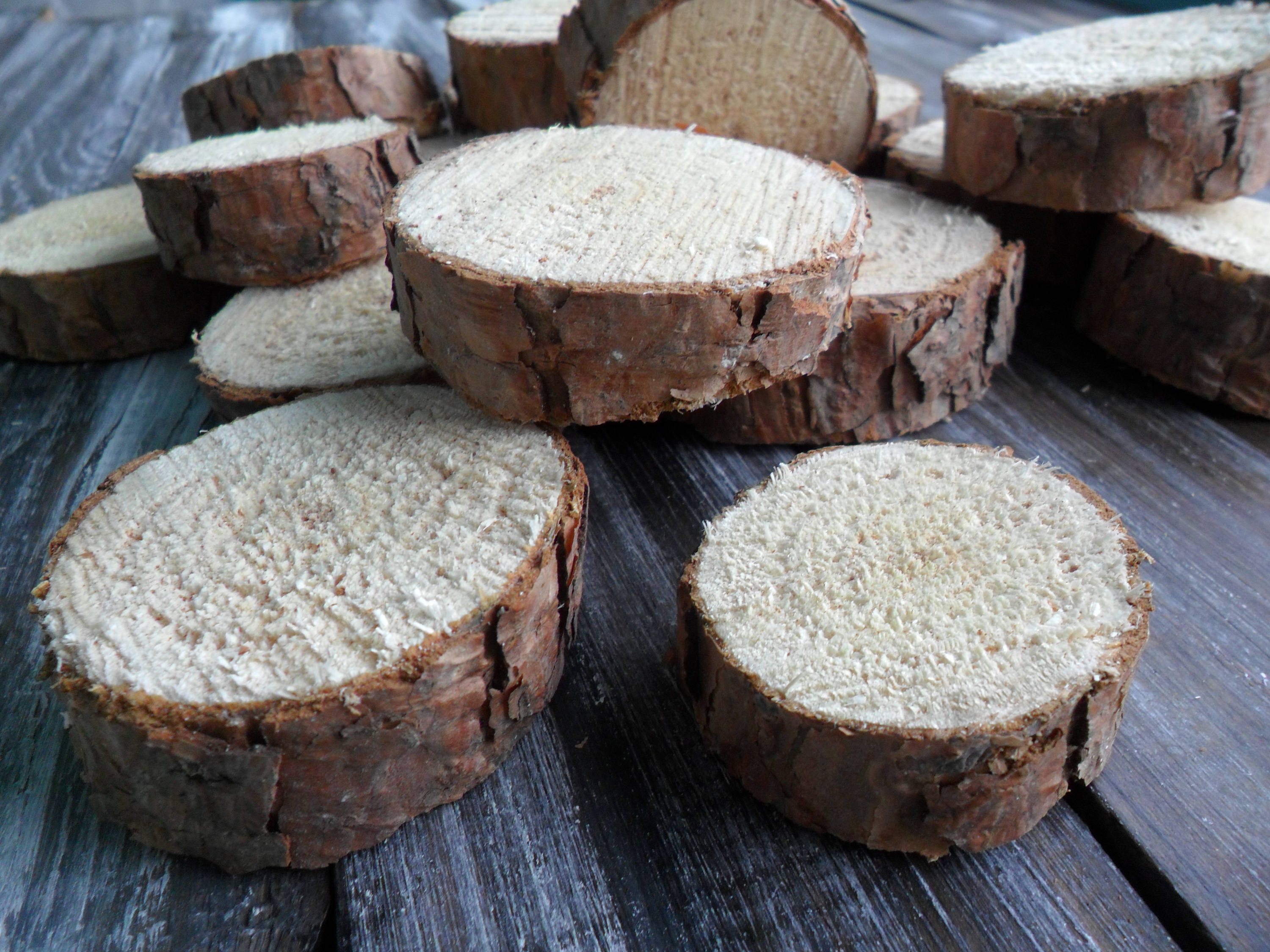 13 Natural Wood Slices DIY Wooden Craft Wood Slices Circles | Etsy