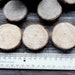 2 Small Wood Slices for Crafts Tree Slices Branch Slices - Etsy