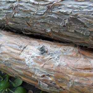 Set of 3 Pine Logs 31.50" Long Wood Product Forest Craft Supplies ...