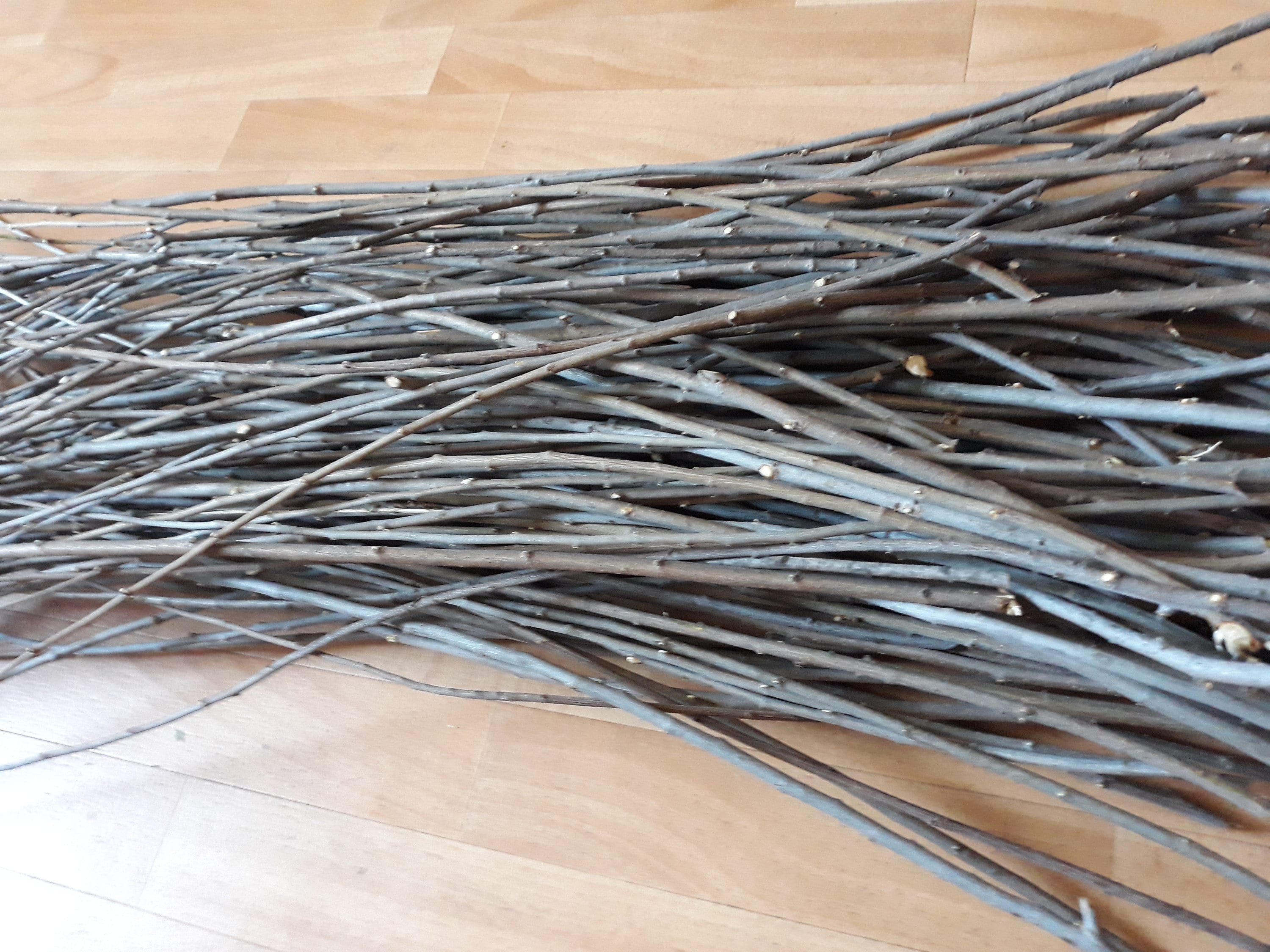 24 Extra-long Brown Twigs Willow Bundle Eco Friendly - Etsy Ireland
