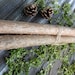Set of 3 Pine Logs 31.50" Long Wood Product Forest Craft Supplies ...