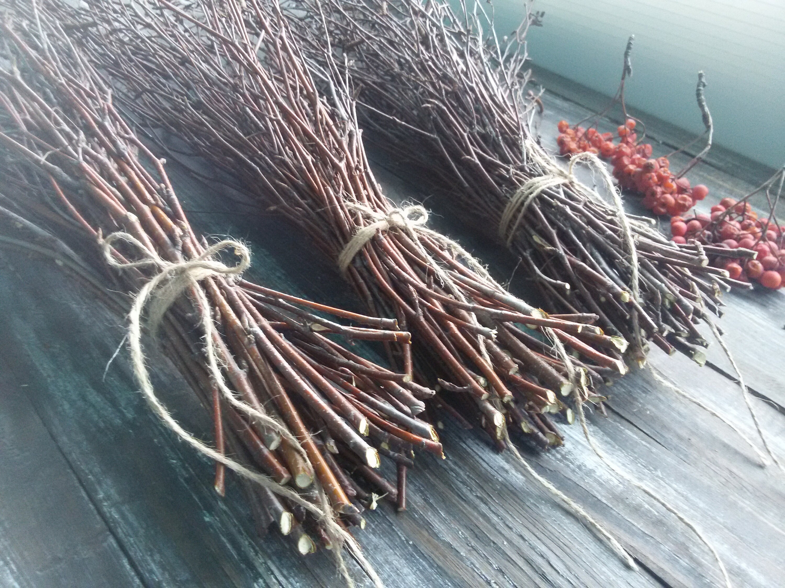 Decorative Birch branches Forest Birch twigs bundle Woodland | Etsy