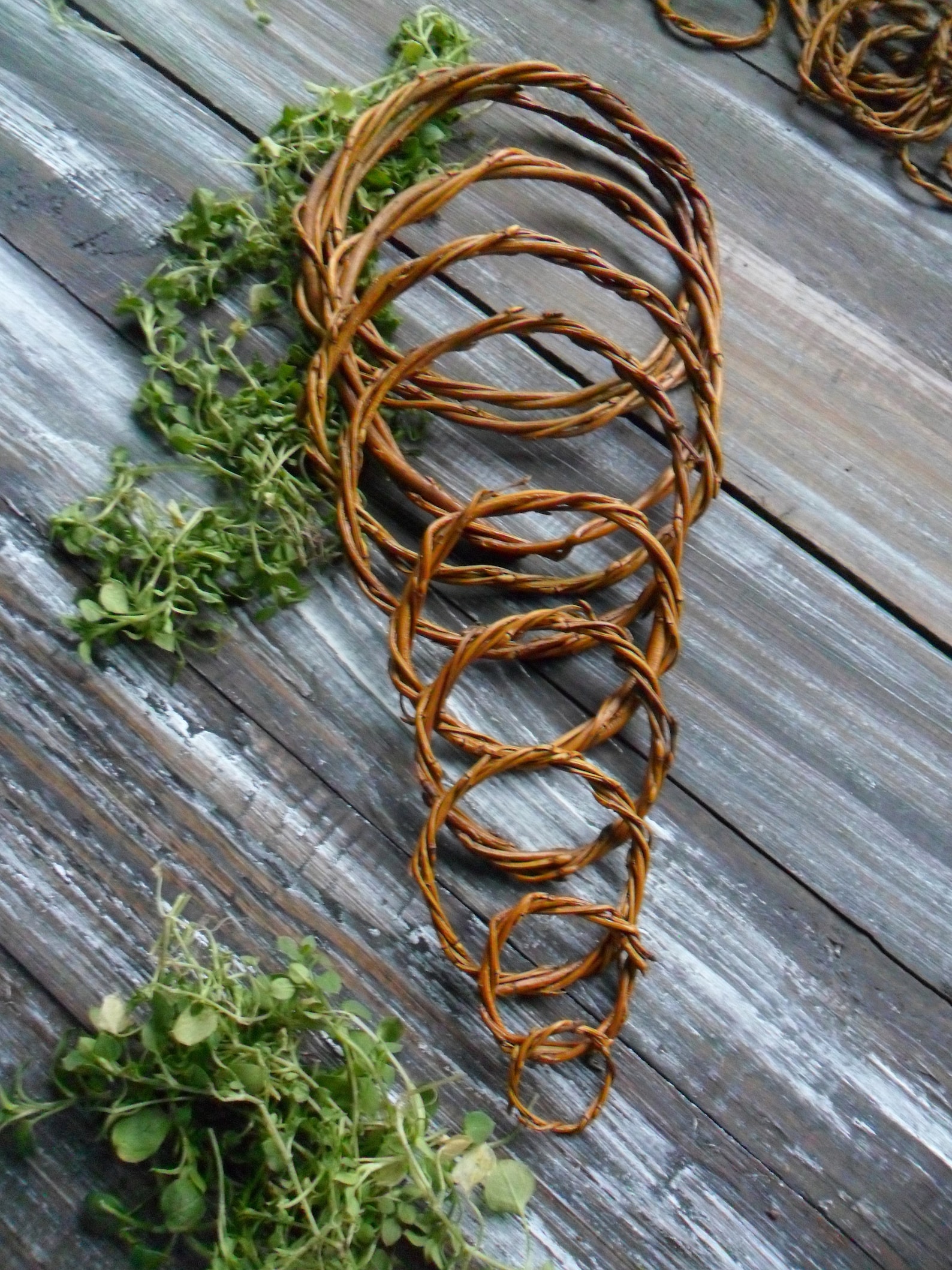 10 Rings of Willow Branches 2 6 Natural Willow - Etsy