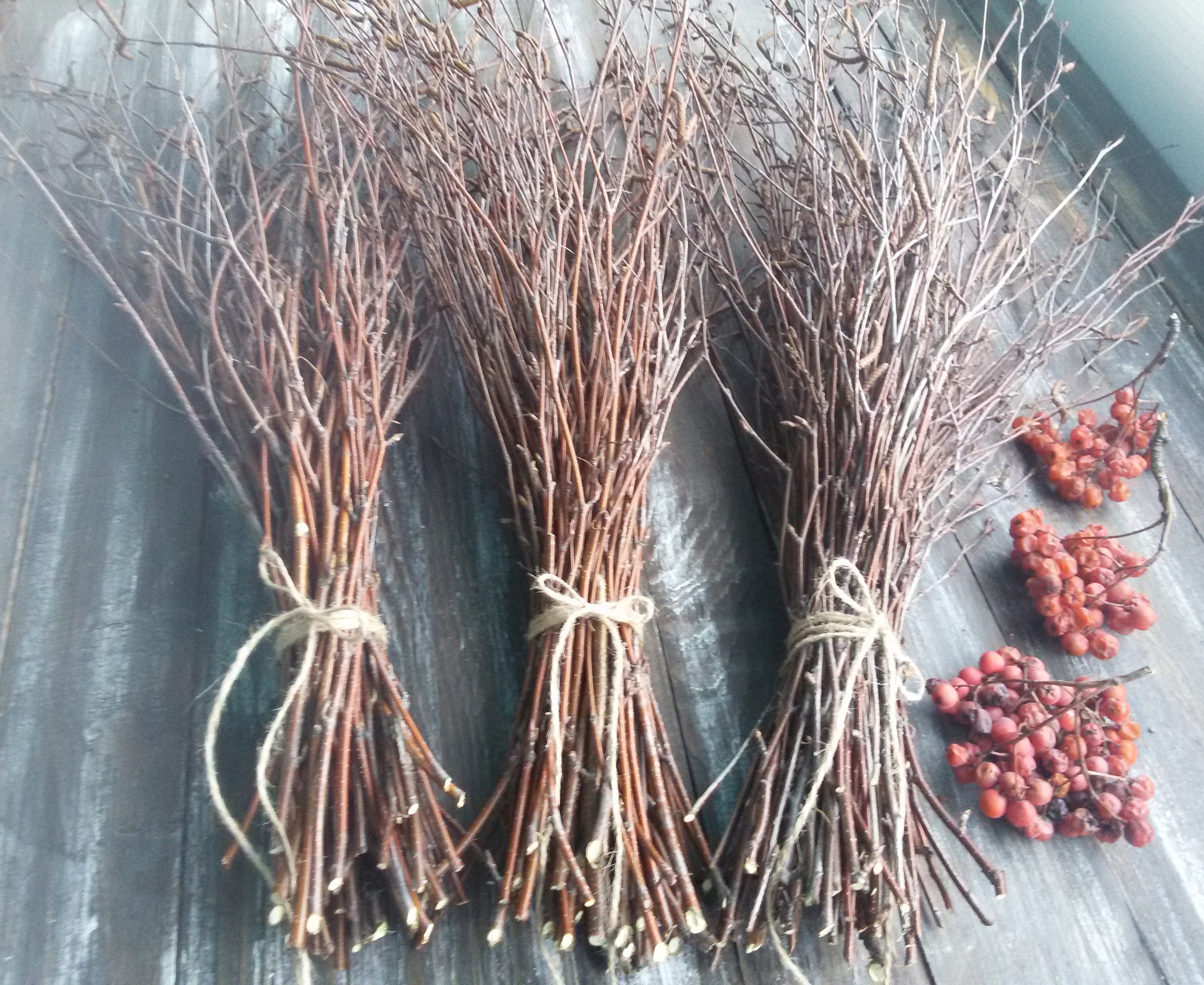 Decorative Birch branches Forest Birch twigs bundle Woodland | Etsy