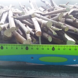 Wood Sticks Set of 20 Pcs 12" Long Branch Bundle Rustic Wedding Table ...