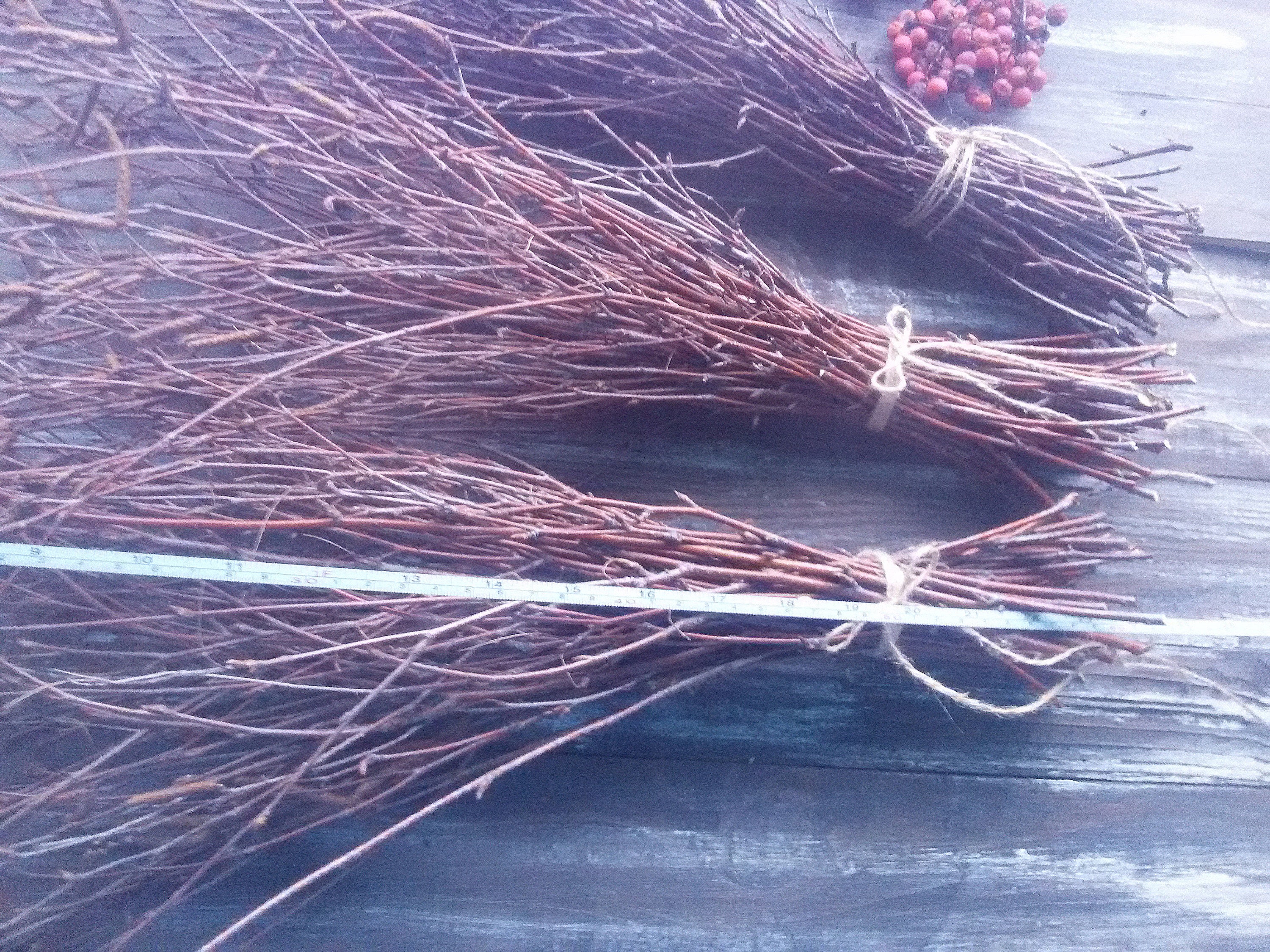 Decorative Birch branches Forest Birch twigs bundle Woodland | Etsy