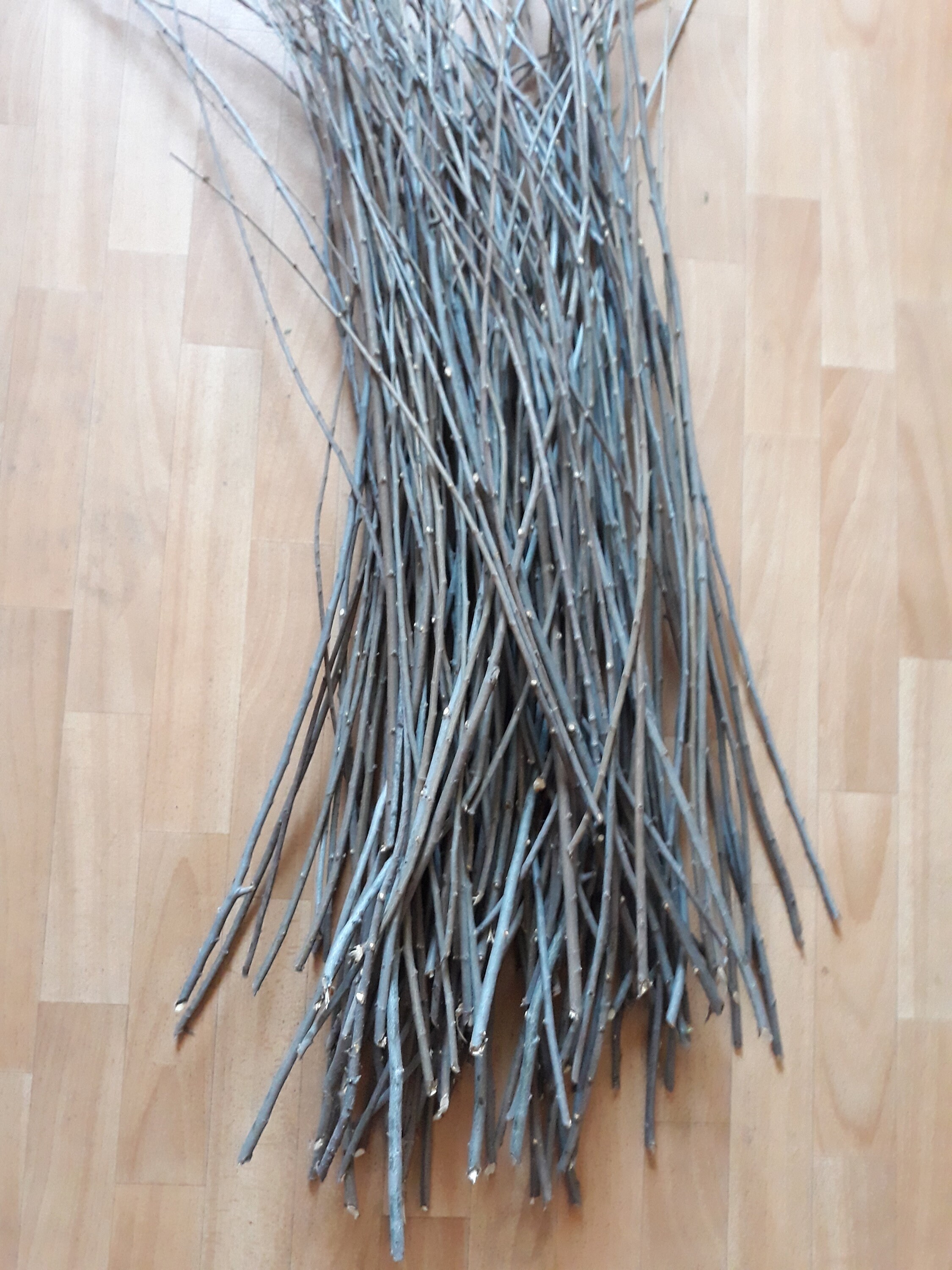 24 Extra-long Brown Twigs Willow Bundle Eco Friendly - Etsy Ireland