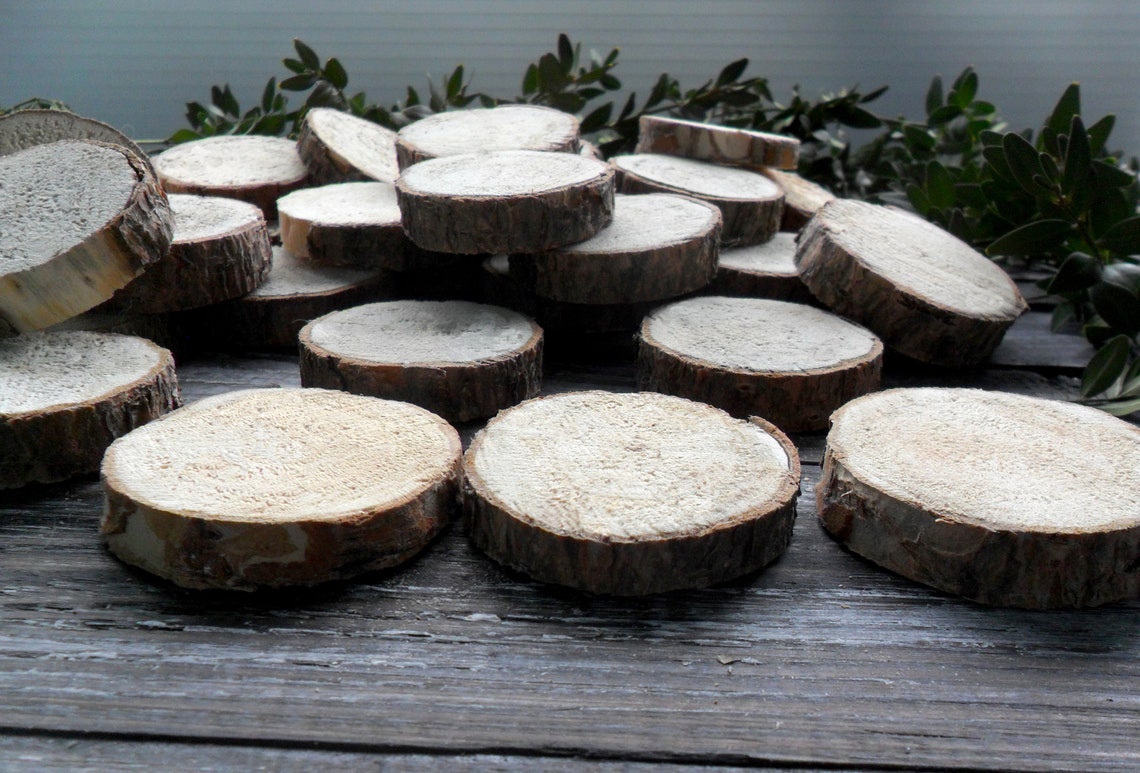 2 Small Wood Slices for Crafts Tree Slices Branch Slices | Etsy