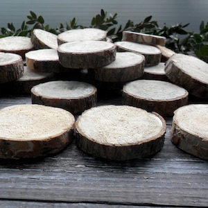 2" Small Wood Slices for Crafts Tree Slices Branch Slices Bulk Slice ...