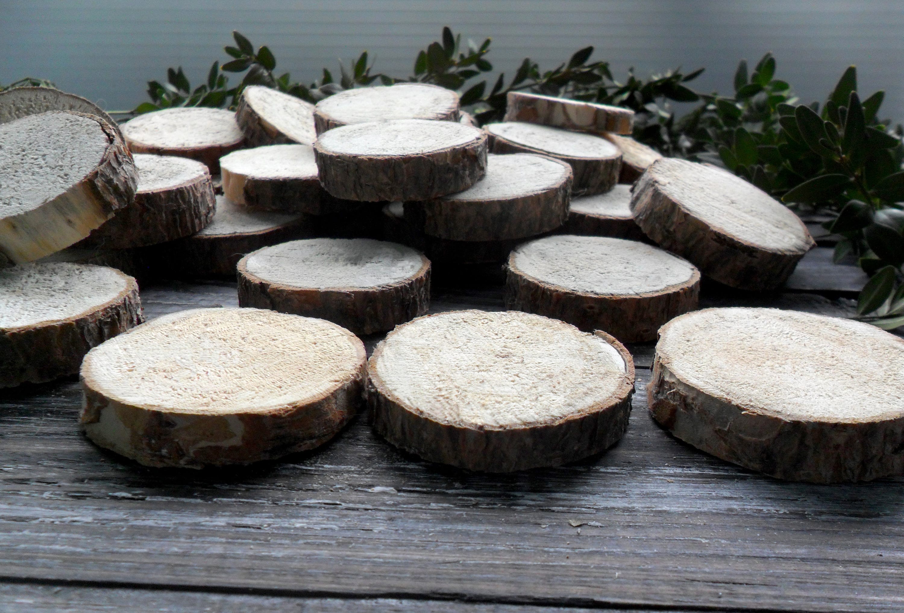 2 Small Wood Slices for Crafts Tree Slices Branch Slices | Etsy