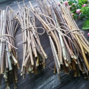 Rustic Design Interior Photo Props Tree Twigs Bundle Natural Branches ...