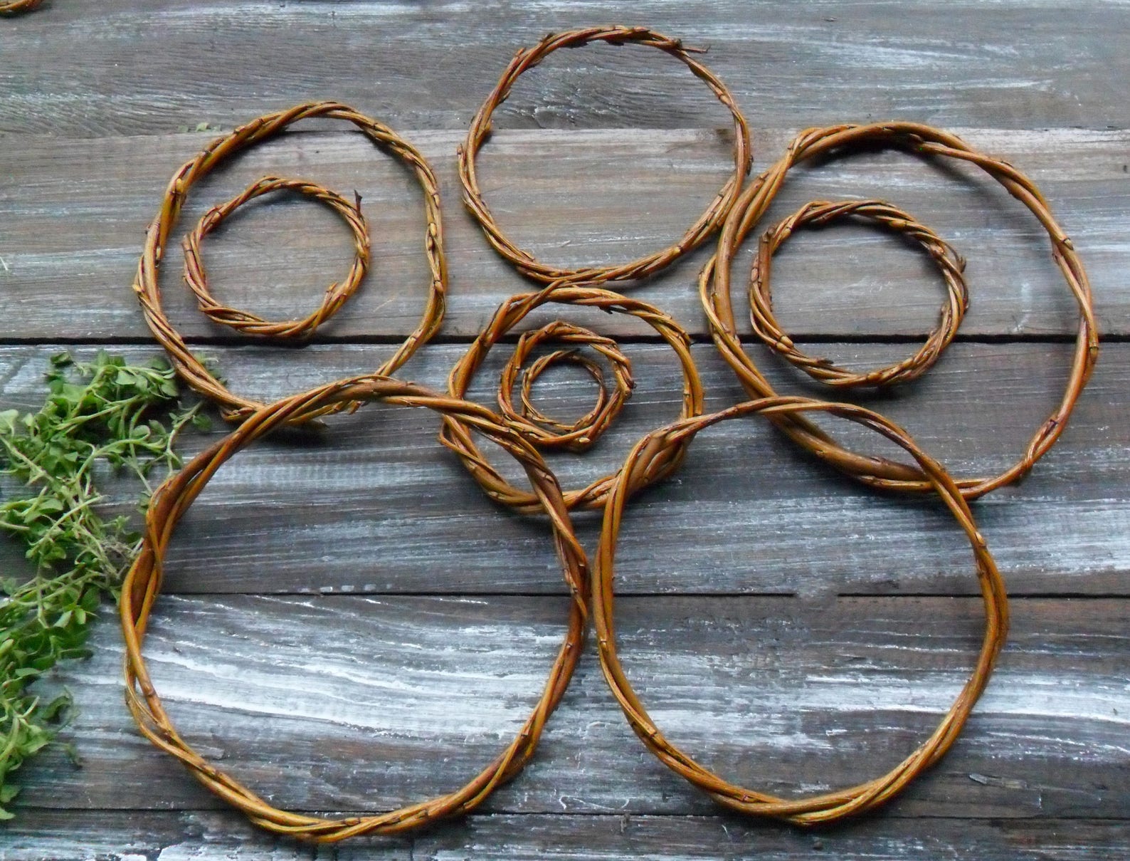 10 Rings of Willow Branches 2 6 Natural Willow - Etsy