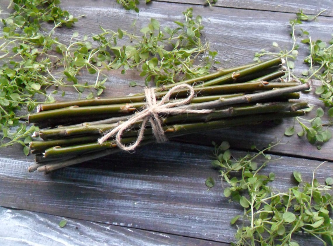 Willow branches Straight willow sticks DIY twig bundles 25 | Etsy