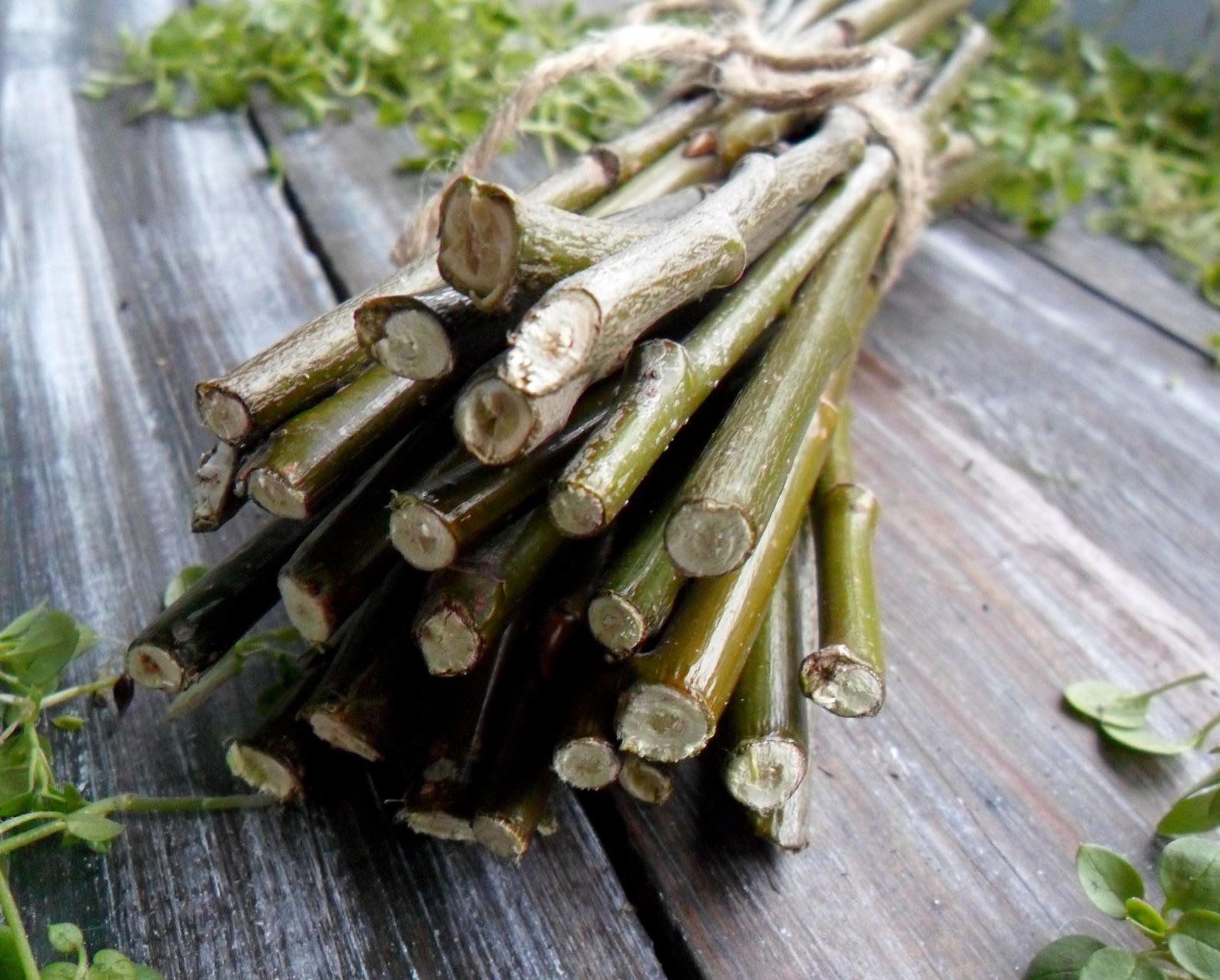 Willow branches Straight willow sticks DIY twig bundles 25 | Etsy