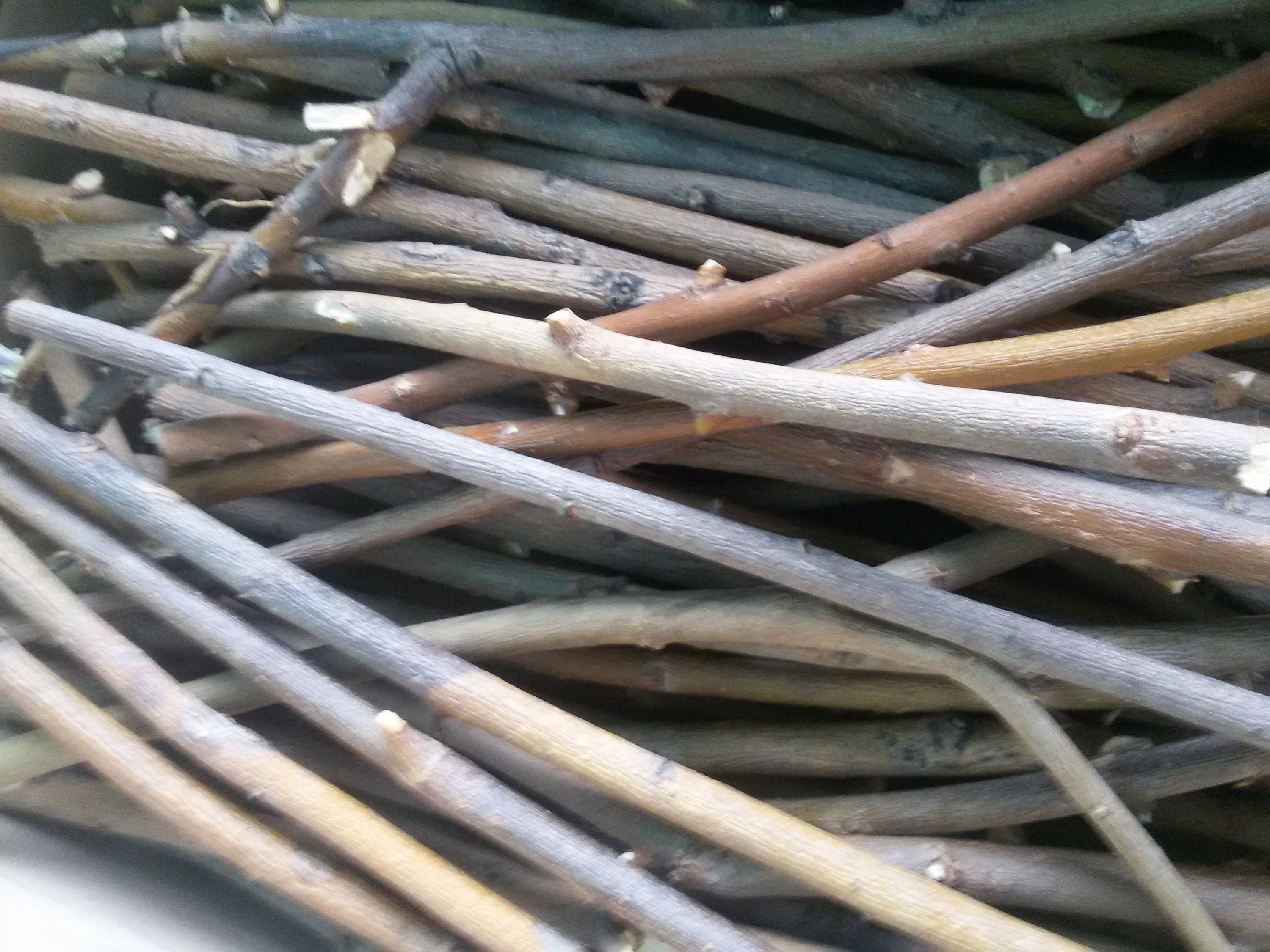 Wood Sticks Set of 20 Pcs 12 Long Branch Bundle Rustic - Etsy Norway