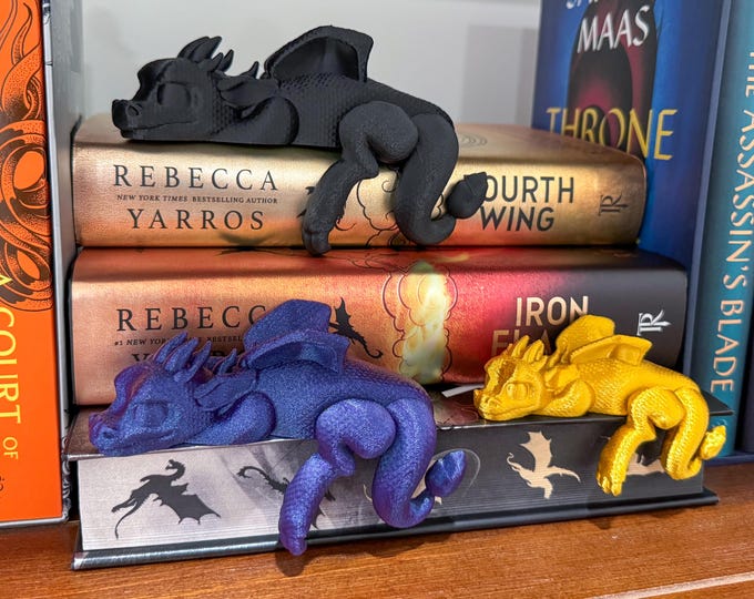 Sleeping Dragon Fourth Wing Inspired Bookself Decor | Bookshelf Charms ...