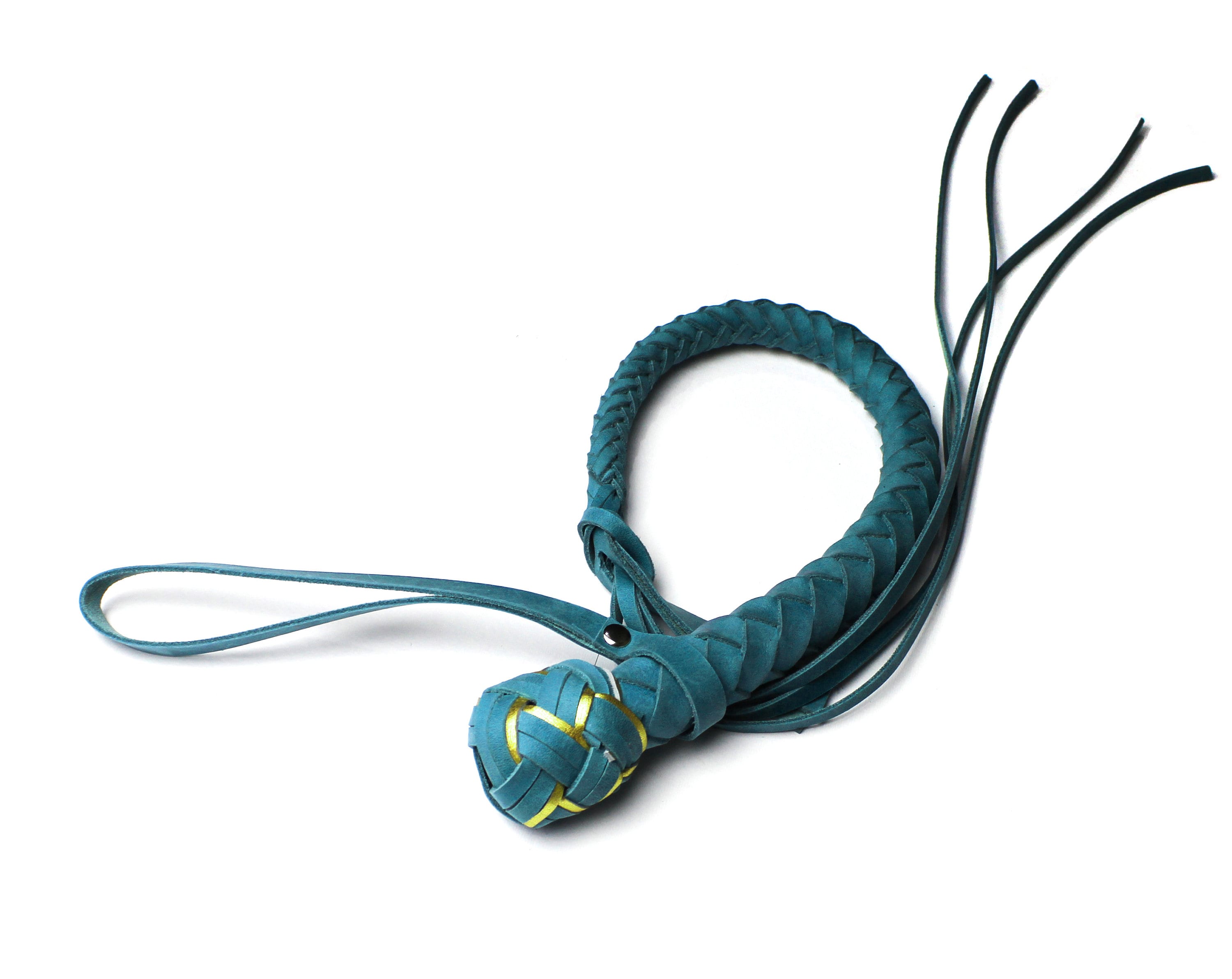 Aquamarine Dog Whip / Sicone Core Whip / Snake Whip / BDSM - Etsy