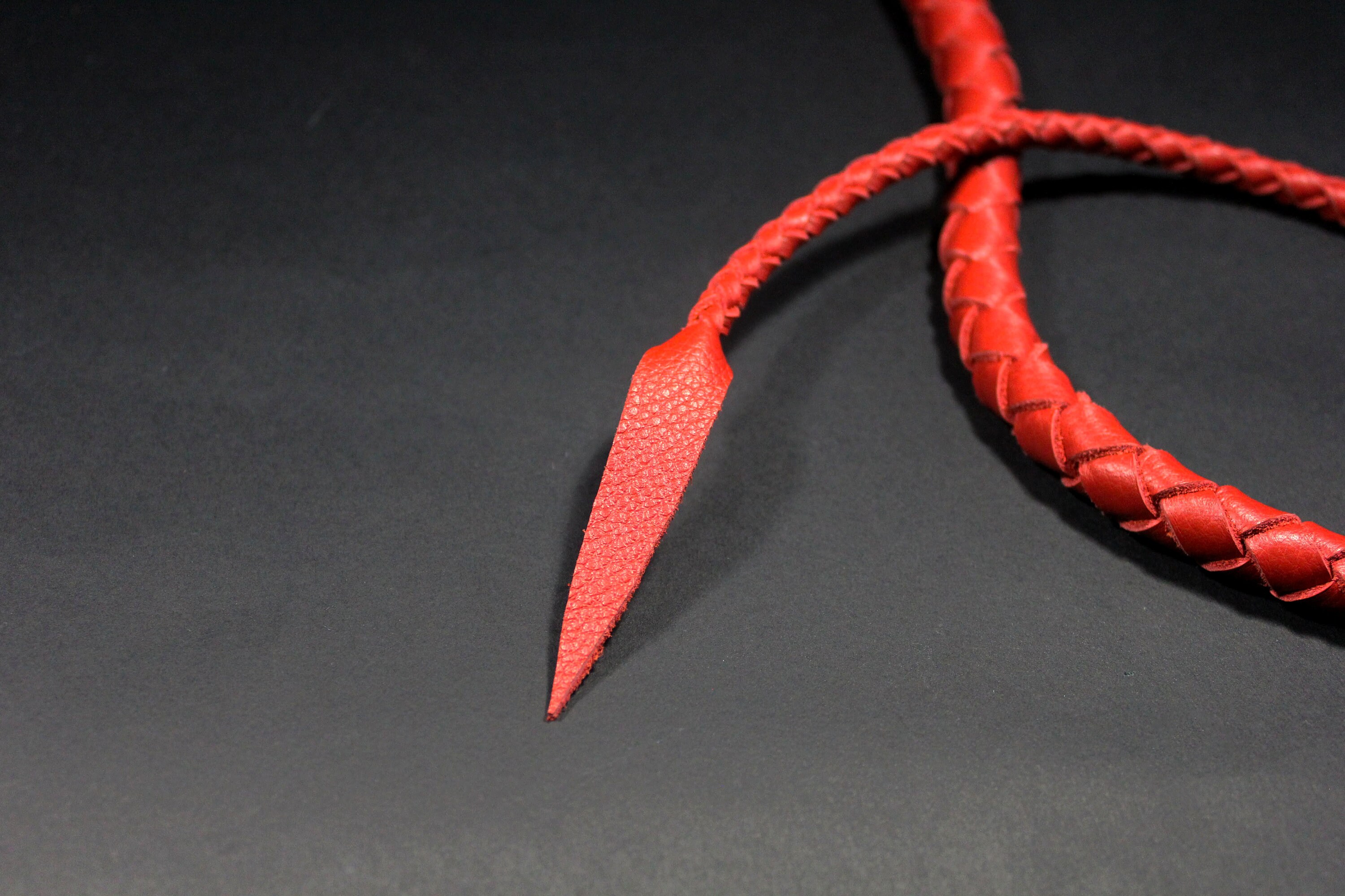 Signal Whip With Stinger / Leather BDSM Whip / Snake Whip for - Etsy