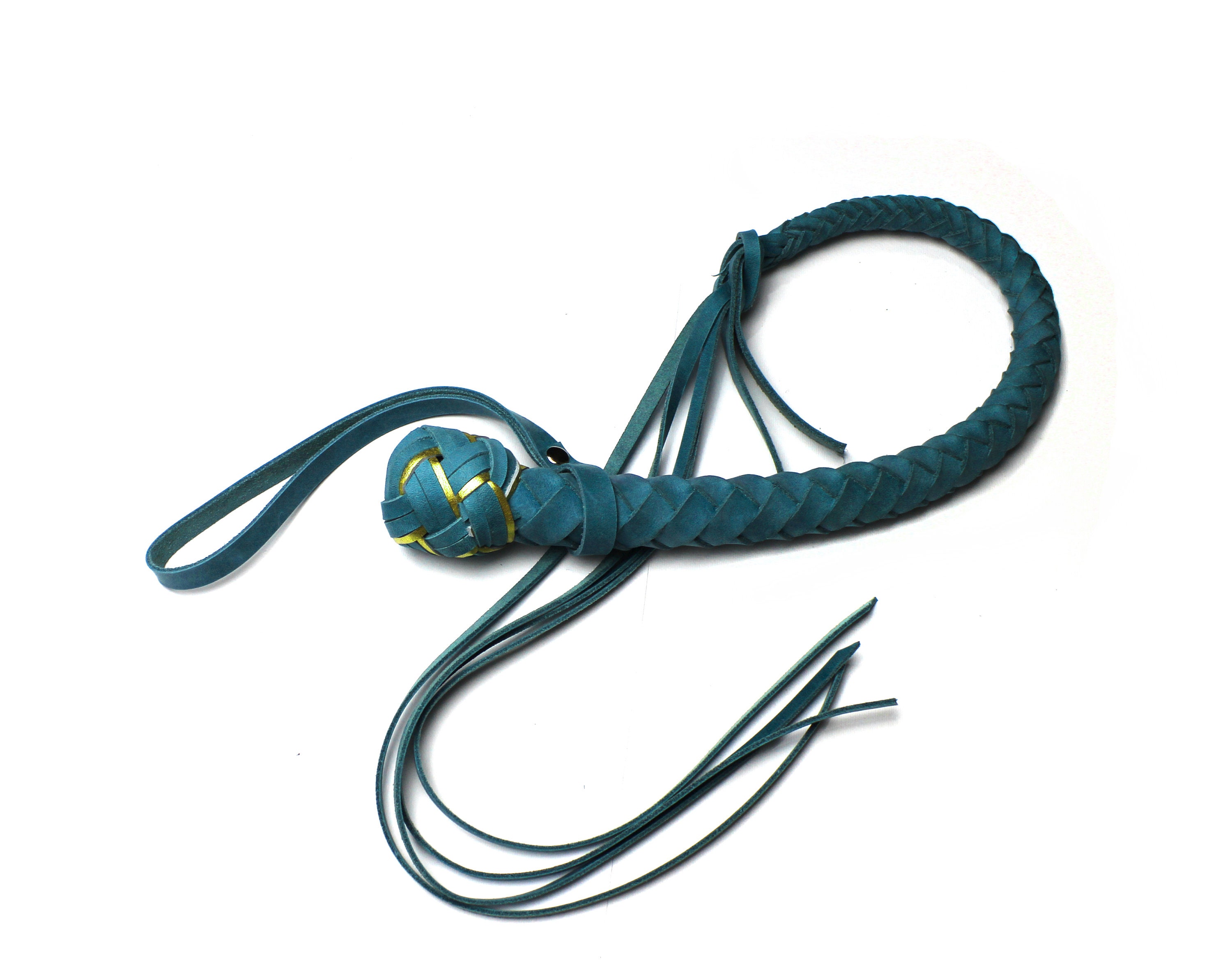 Aquamarine Dog Whip / Sicone Core Whip / Snake Whip / BDSM - Etsy