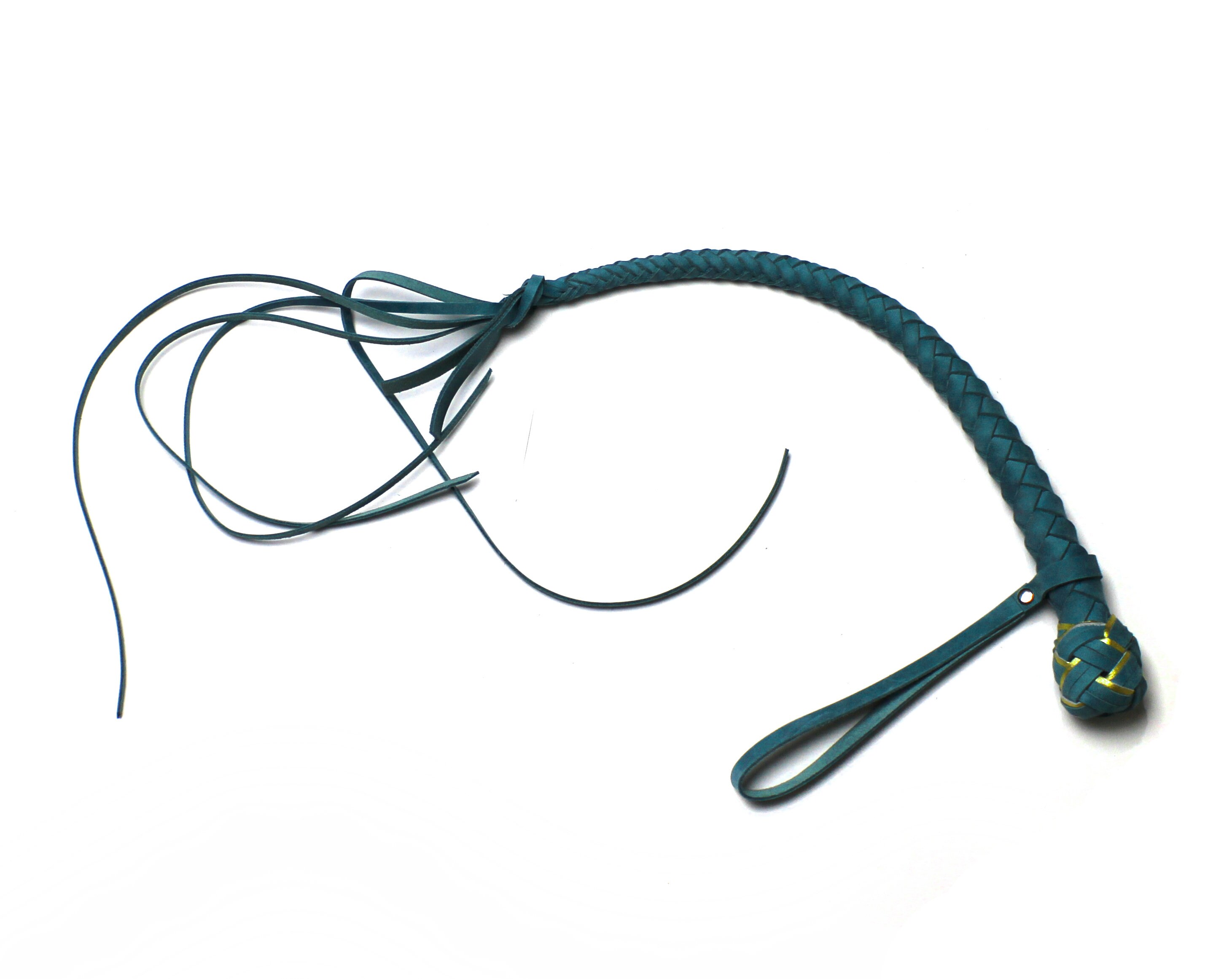 Aquamarine Dog Whip / Sicone Core Whip / Snake Whip / BDSM - Etsy