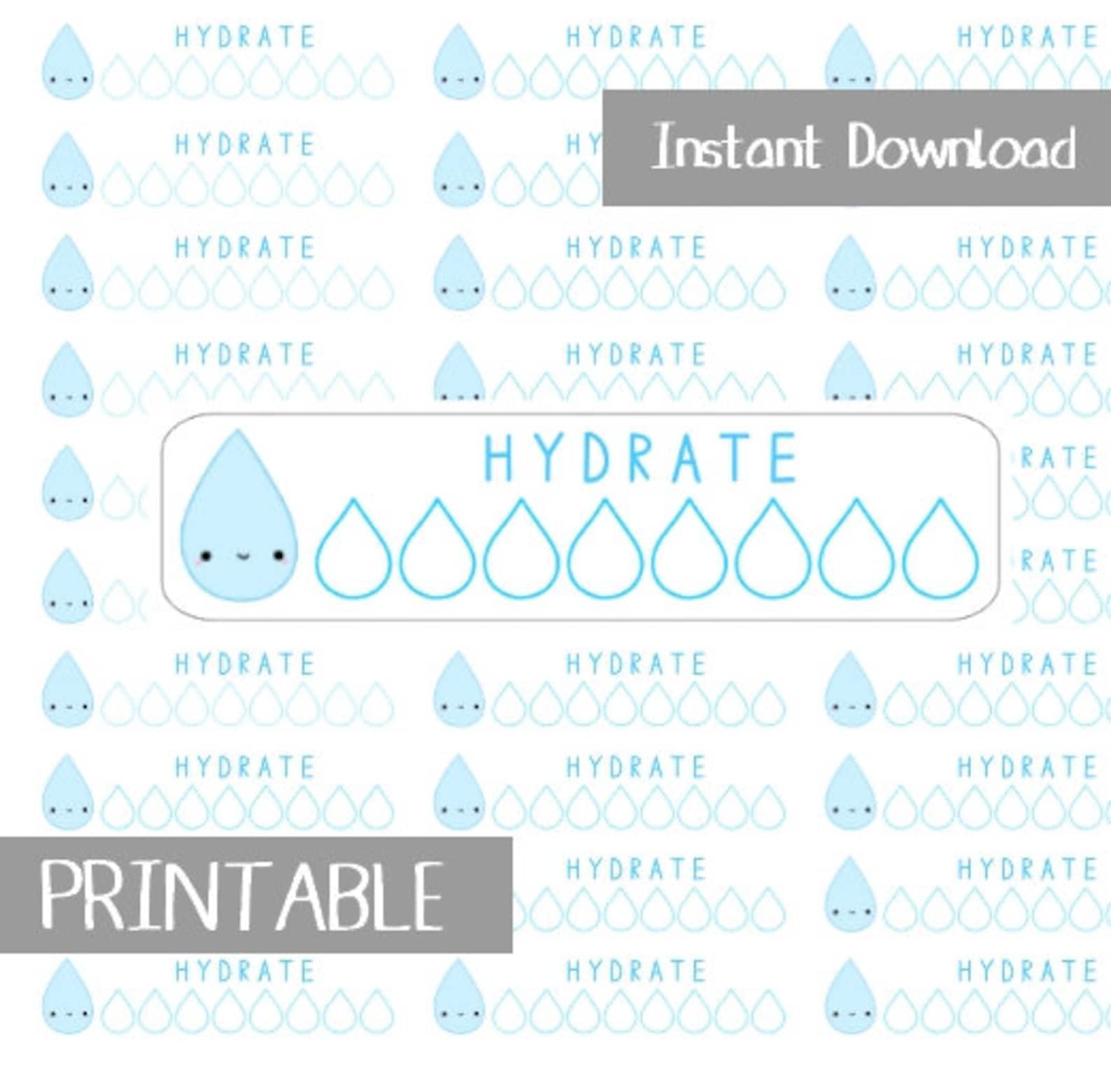 PRINTABLE Hydrate Planner Stickers Digital Download Happy Planner ...