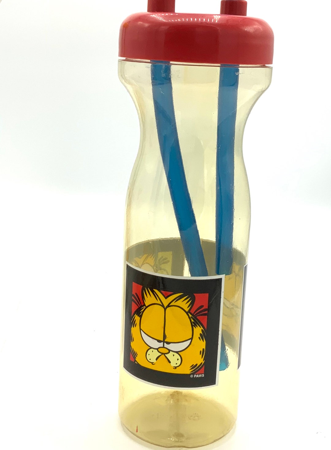 Gorgeous Collectible and Vintage Garfield Water Bottle, Tall, Plastic ...