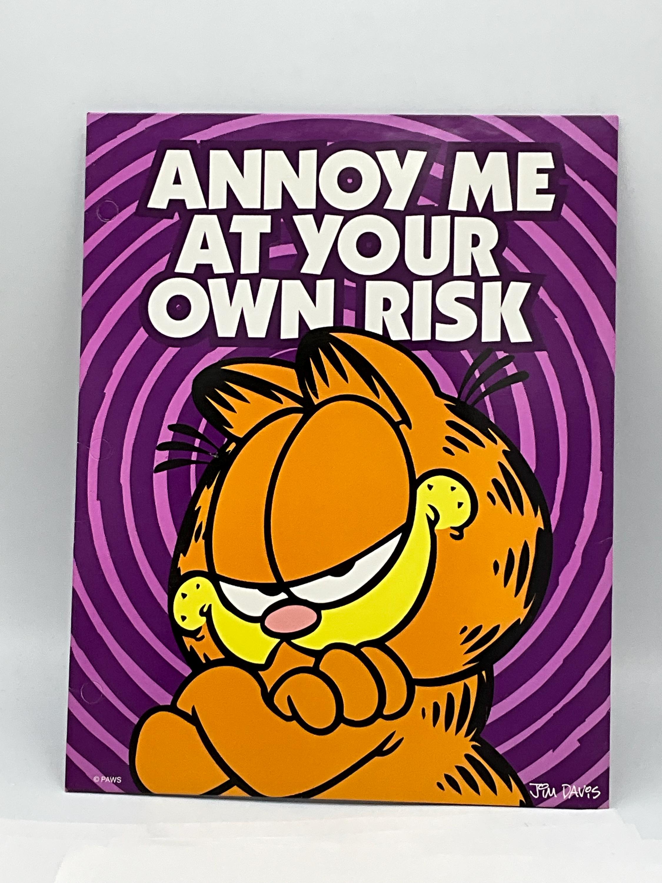 Gorgeous Collectible and Vintage Garfield Mead Folders, Cat School ...