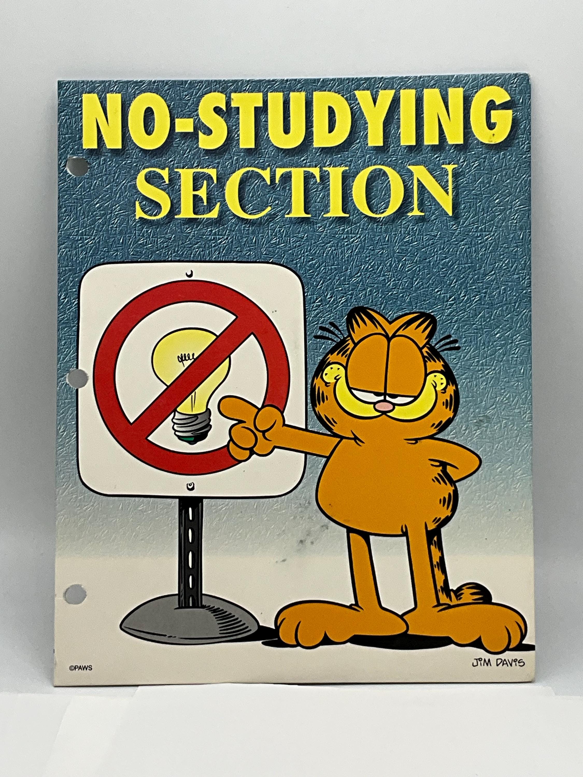 Gorgeous Collectible and Vintage Garfield Mead Folders, Cat School ...