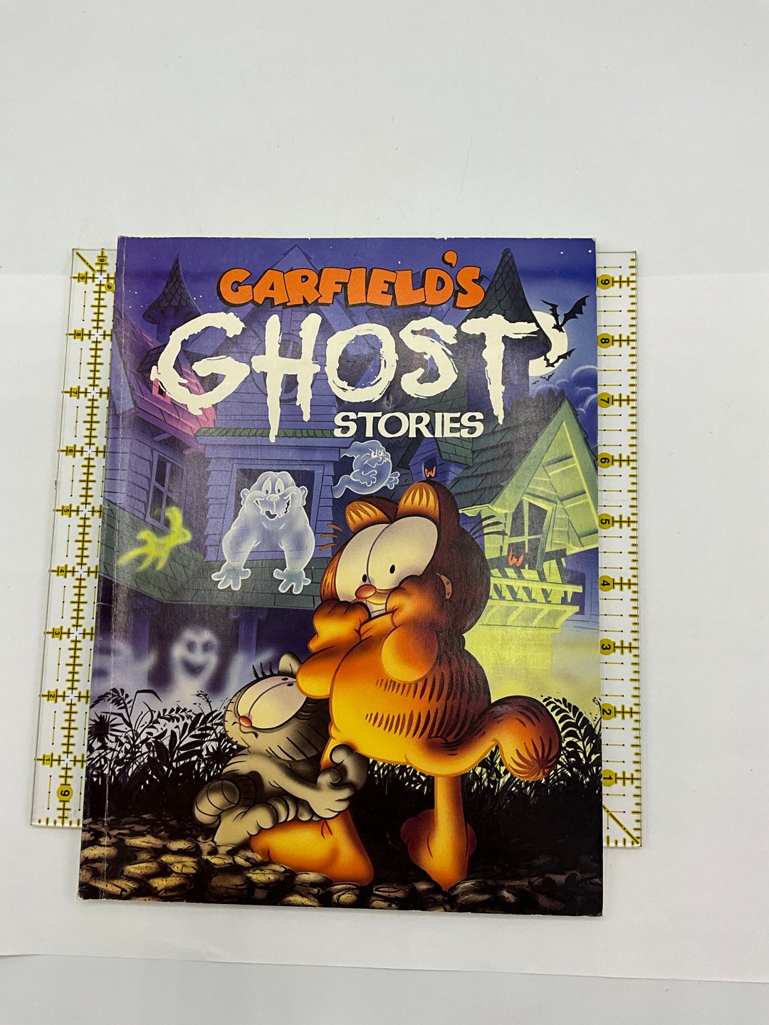 Gorgeous Collectible and Vintage Garfield Ghost Stories, Paperback Book ...